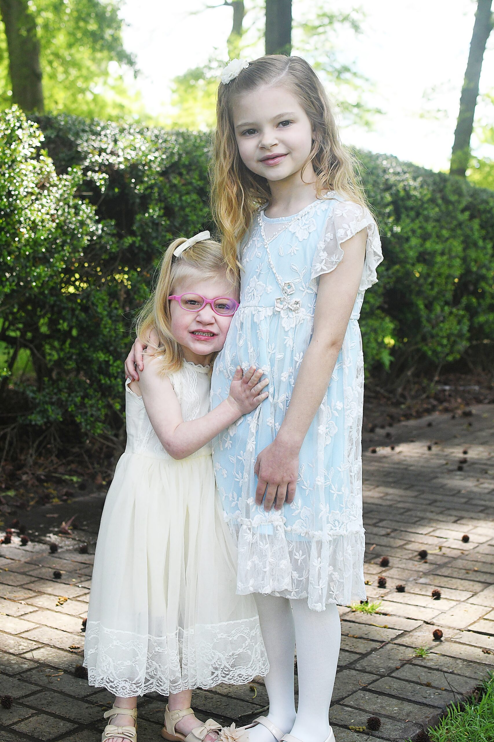 PRISMS - The Comfort Tree