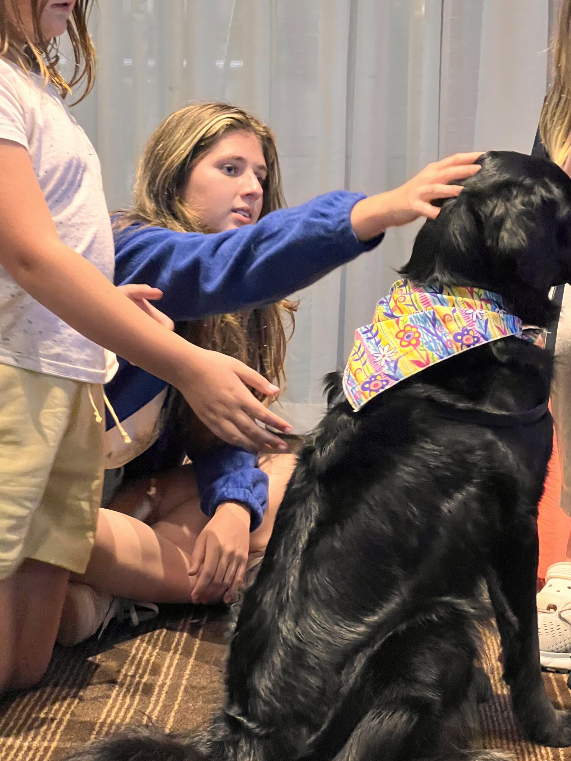 PRISMS - Envisioning the Possibilities Together